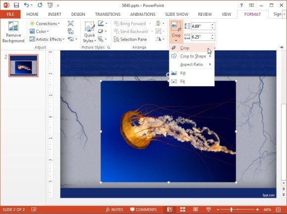 How To Crop A Picture In PowerPoint 2013 PowerPoint Presentation